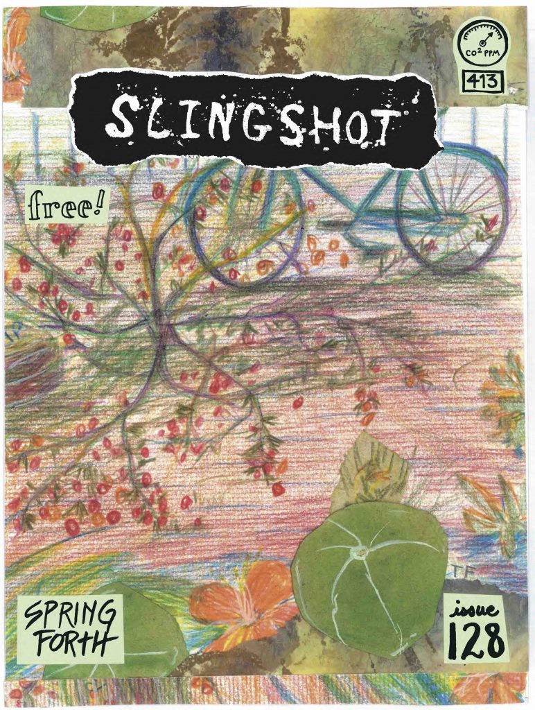 Past Issues – Slingshot