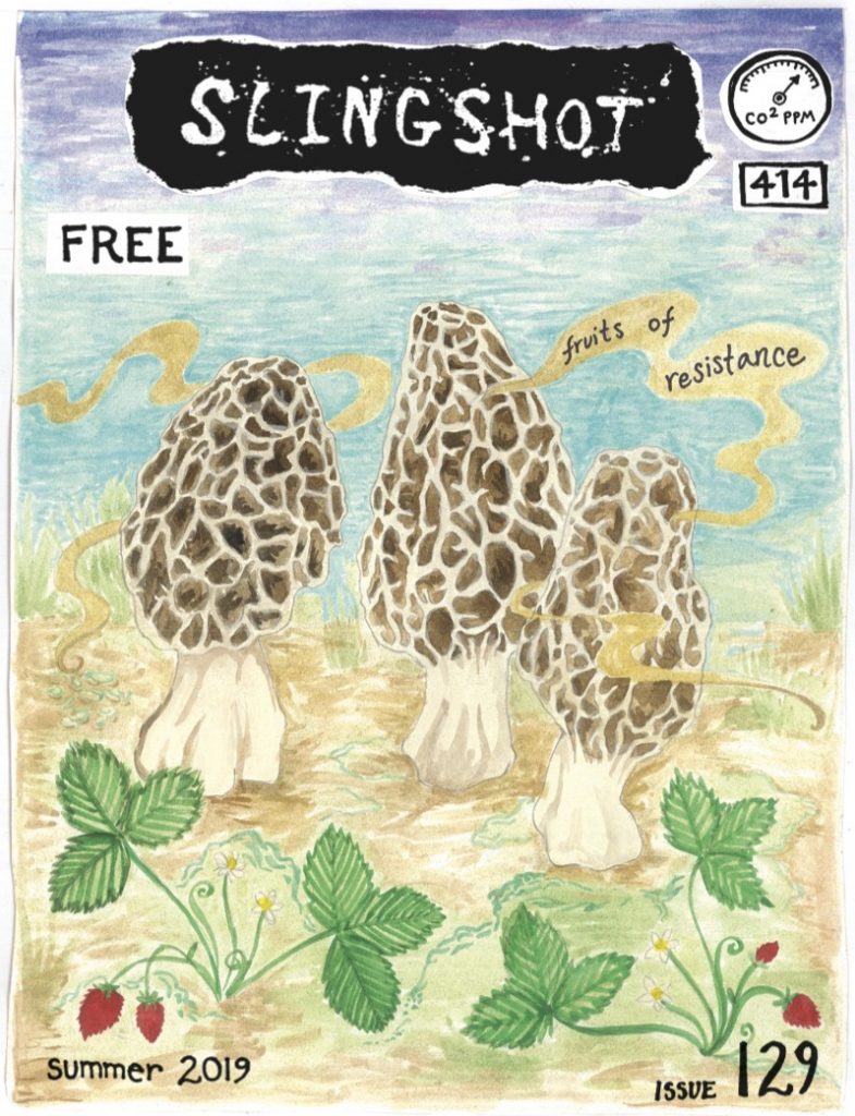 Past Issues – Slingshot