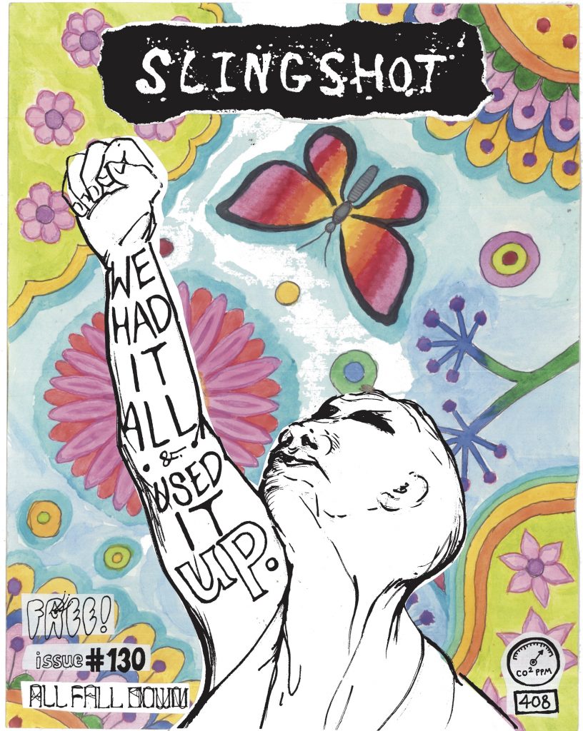 Past Issues – Slingshot